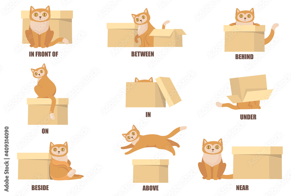 Learning prepositions with help of cat and box flat set for web design ...
