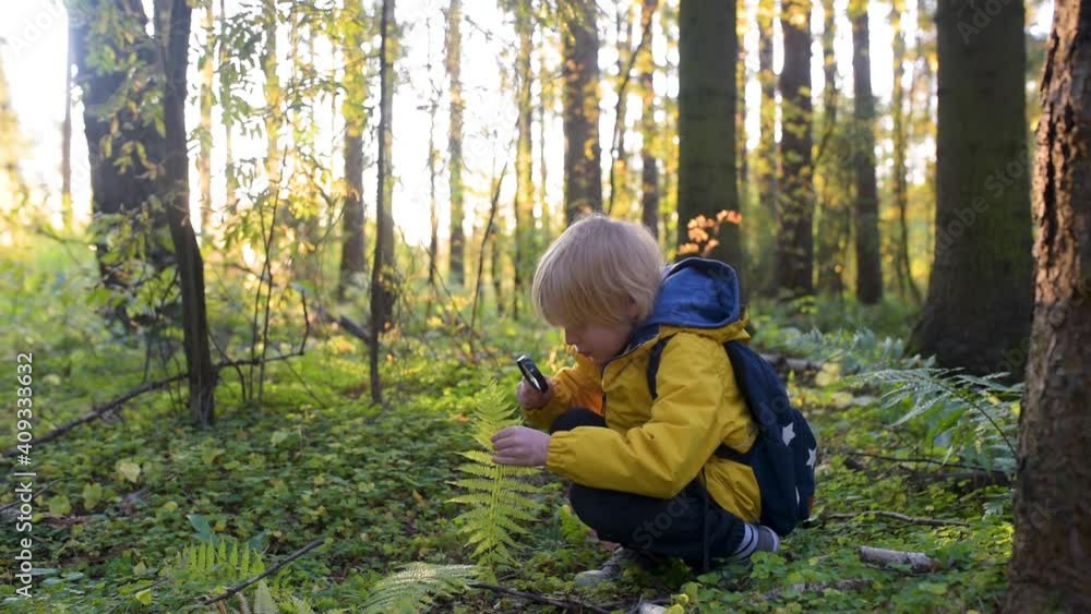 Cute schoolchild exploring nature with magnifying glass. Little boy look at the plant with ...