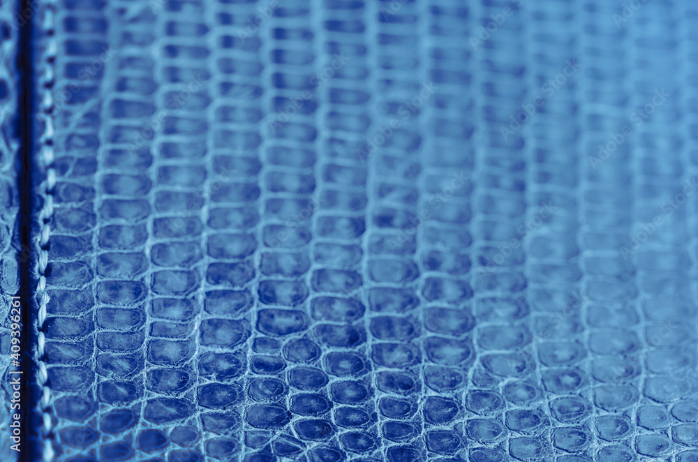 Stitched genuine leather of the African Varanus lizard. The texture of ...