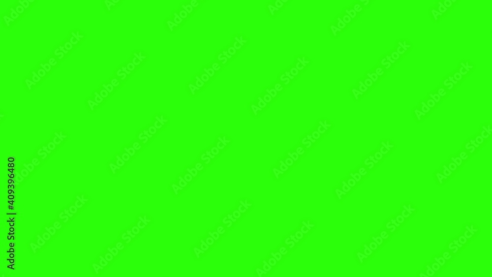 Animation of women shoes group elements on green screen chroma key ...