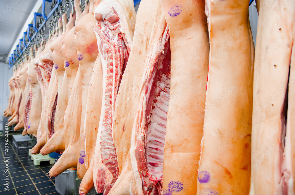 The meat factory. Pork hanging on hooks. Pork carcasses in the workshop ...