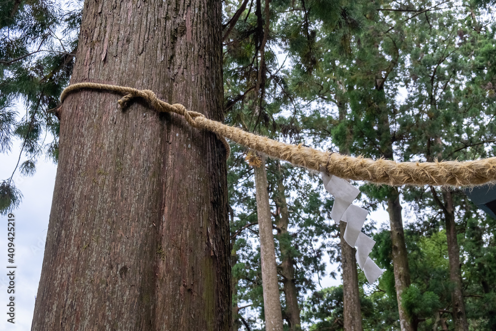 Foto de Shimenawa rope with traditional Shinto shide (folded paper ...