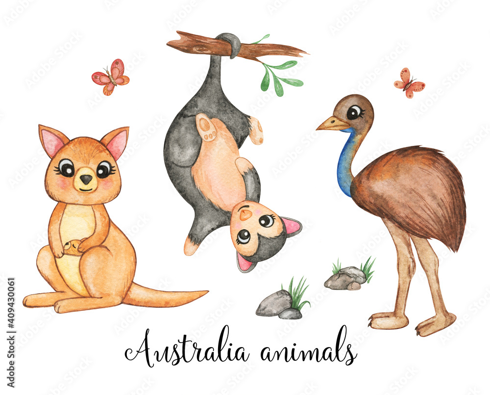 Australian animals clip art, watercolor animals isolated, wild nature ...