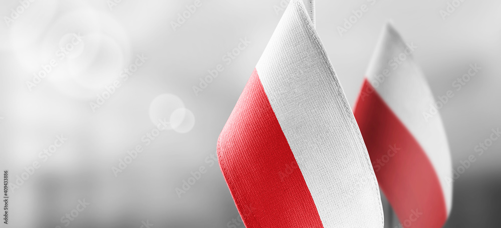Small national flags of the Poland on a light blurry background Stock ...