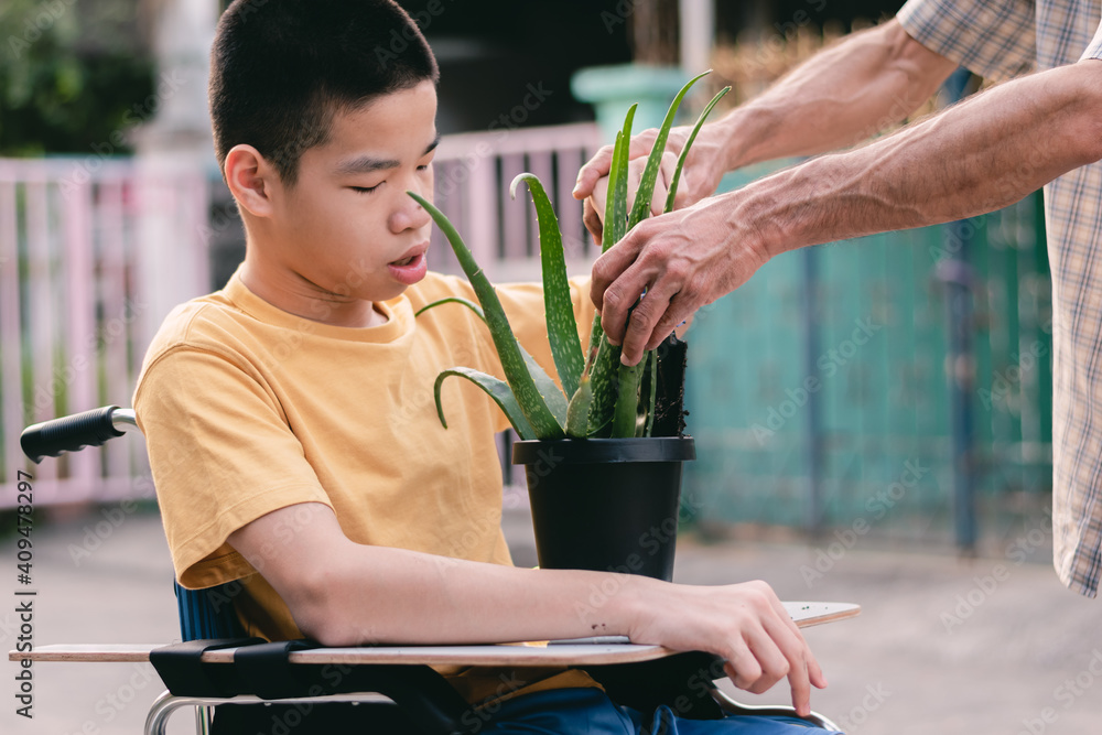 Asian special child on wheelchair and father plant aloe vera in a pot ...