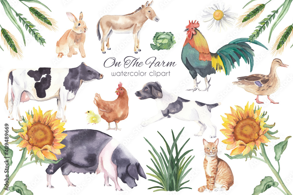 Farm animals. Watercolor farm animals on white background. Domestic ...