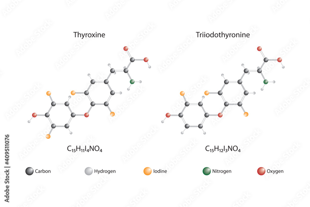 Molecular structures of thyroid hormones. Thyroxine and ...