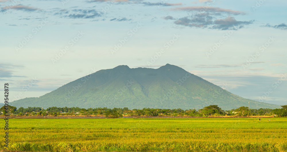 a view of Mount Arayat and it's vast rice field in the Philippines ...