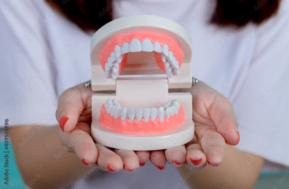 Smiling Asian woman holding tooth model on blue screen background ...