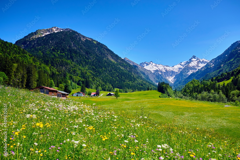 Tal in den Bergen, Alpen im Frühling mit Blumenwiesen, Gipfel mit ...