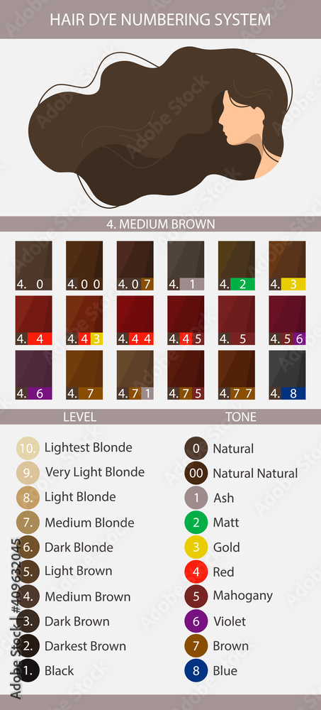 Stock vector palette with hair dye numbering system, levels, tones and ...