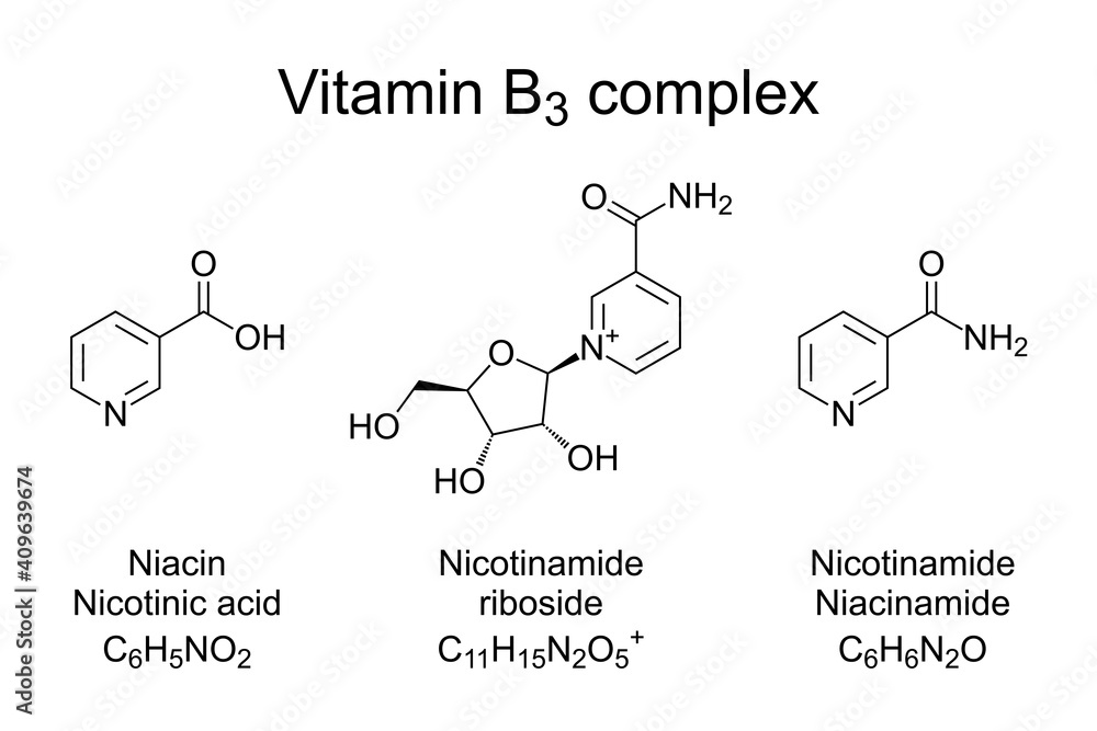 Vitamin B3 complex, chemical formulas. Nicotinamide, niacin and ... Vitamin B3 complex, chemical formulas. Nicotinamide, niacin and ...