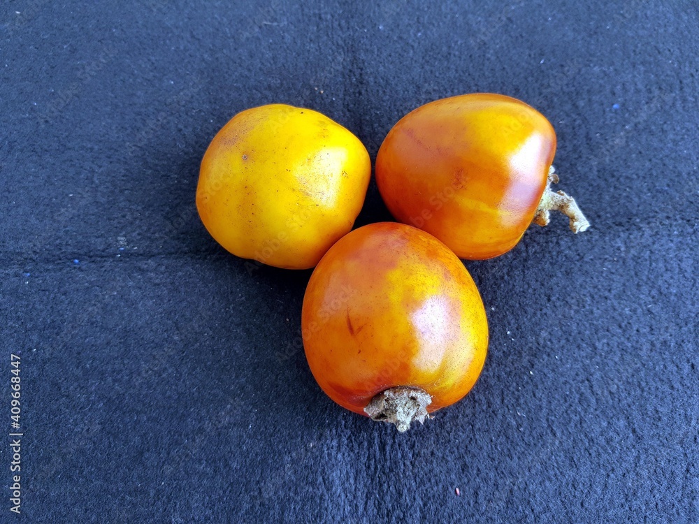 Yellow Solanum sessiliflorum fruits or Cocona is a tropical shrub ...