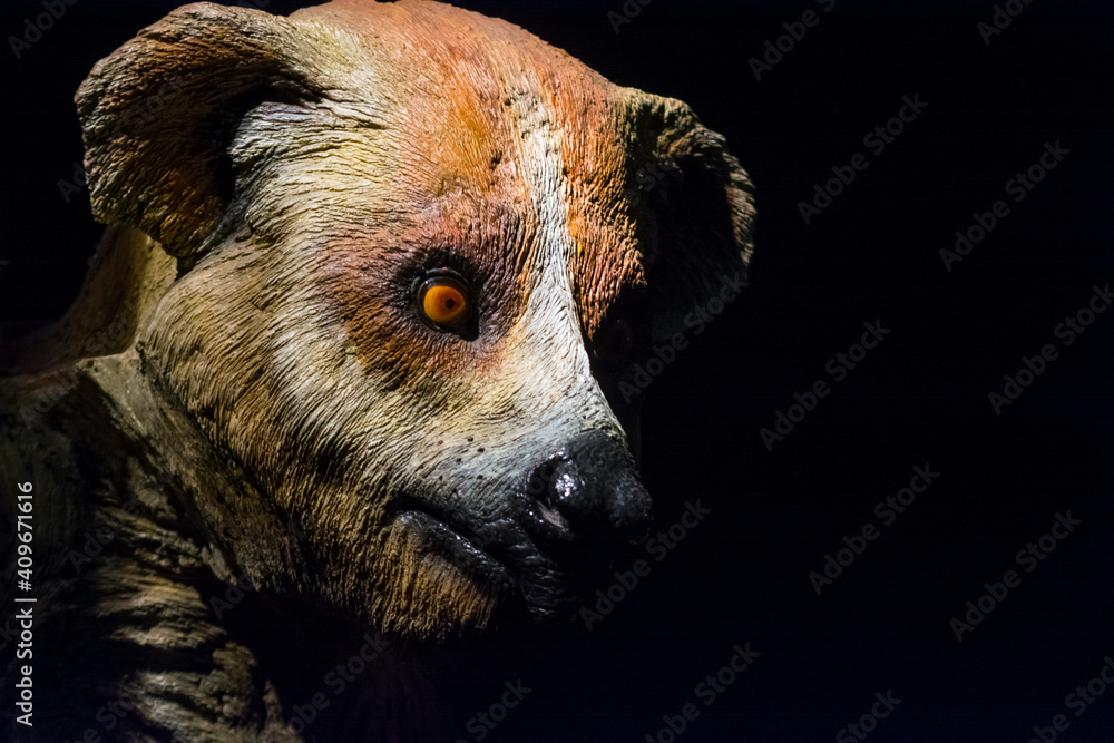 Portrait of a giant lemur, the extinct lemur species Stock Photo ...