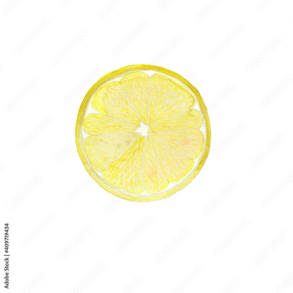 Watercolor lemon slice Stock Illustration | Adobe Stock