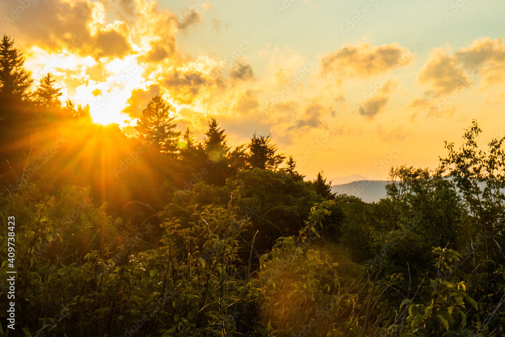 Beautiful scenery of landscape with trees and greenery with the sun ...