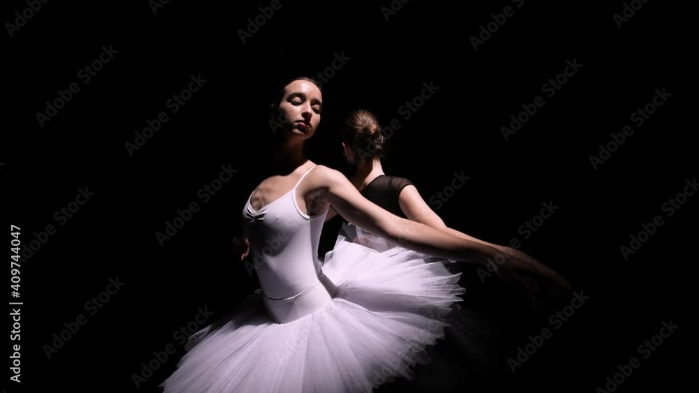 Orbital shot of a pair of charming ballerinas in the form of a black ...