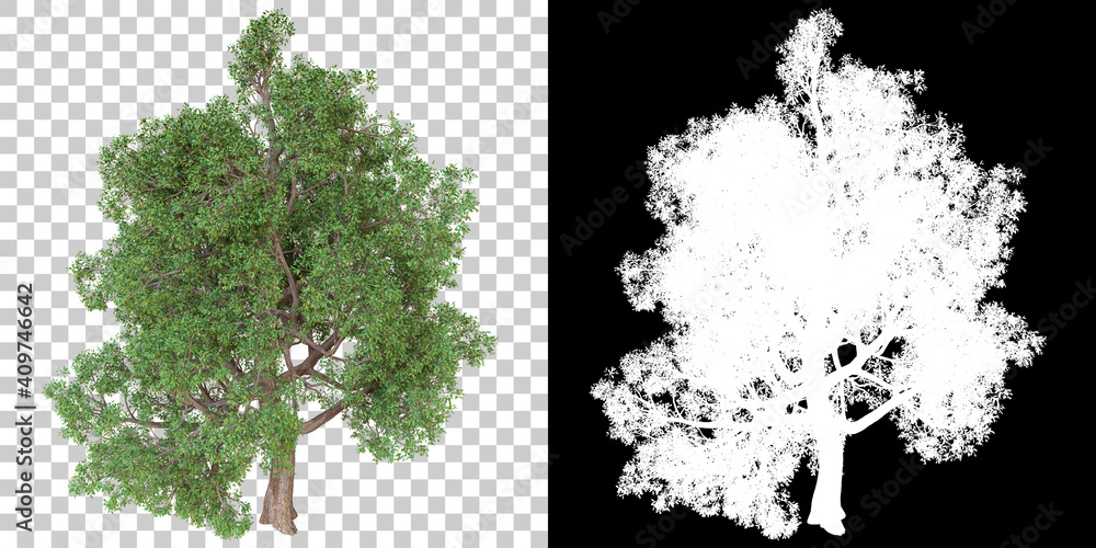 Tree isolated on black background with white mask for easy cutout. 3d ...