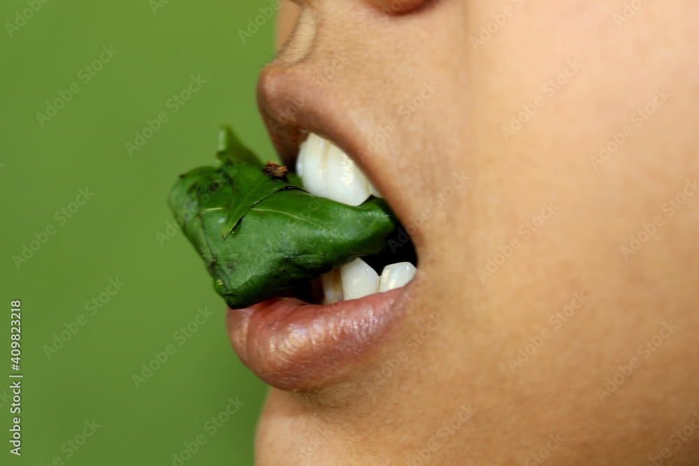 Chewing Betal nut Leaf Stock Photo | Adobe Stock