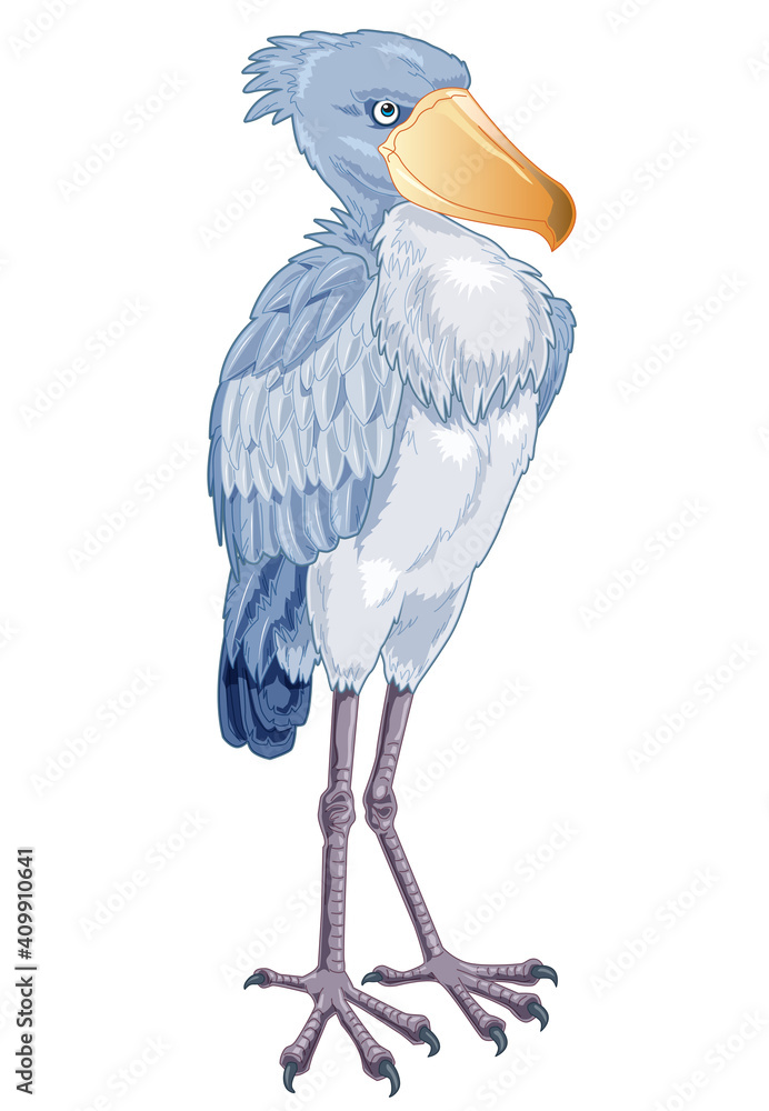 Shoebill cartoon illustration standing alone Stock Vector | Adobe Stock