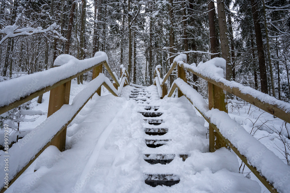 white trail in the forest where a lot of snow has fallen on the trees ...