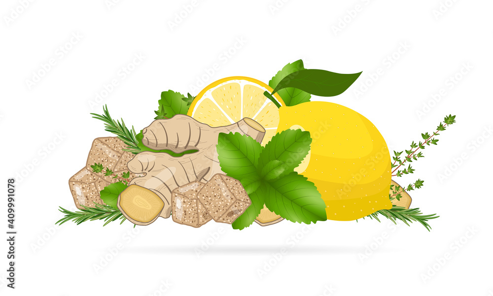 Ginger root slices, lemon, mint leaves, thyme and cane sugar. Vector ...