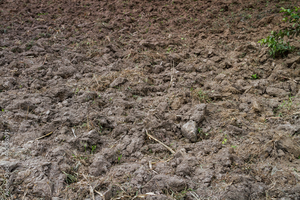 Soil nugget, soil clod, soil lump, soil chunk in fields on the island ...