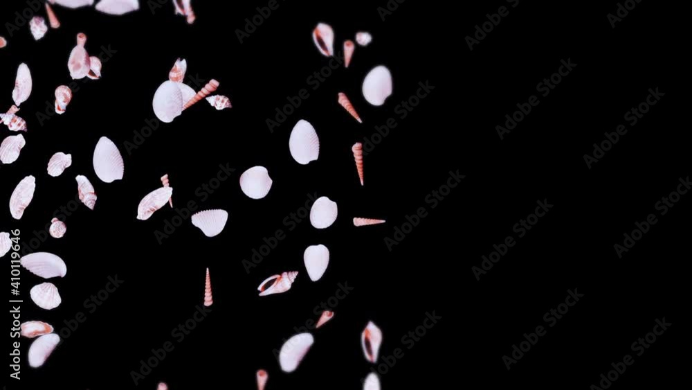 Flying many sea shells on black background. Collection of realistic ...