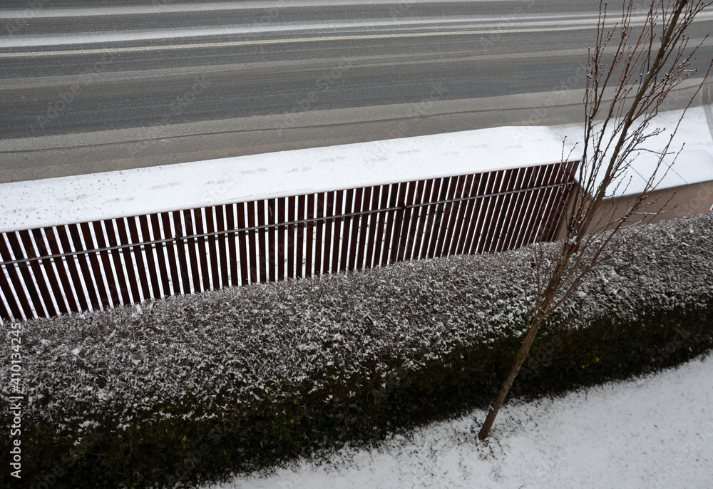 view of the hedge from the upper window of the house. trees and a fence ...