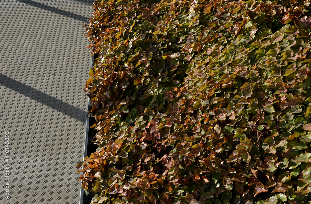 concrete monolith staircase with the texture of extruded ribbed ...