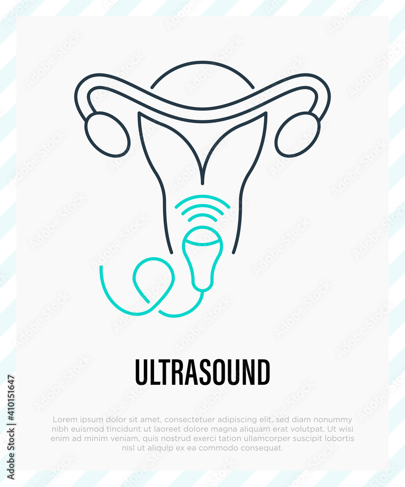 Gynecology ultrasound. Medical examination, obstetrics. Uterus and ...