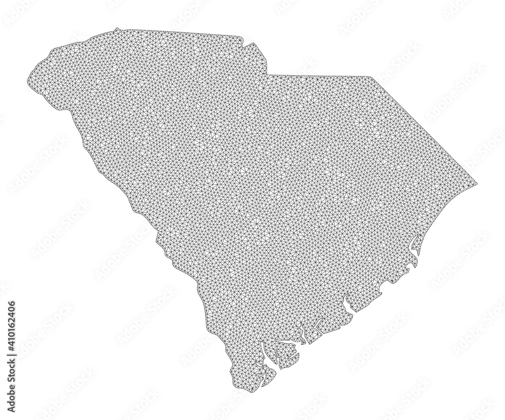 Polygonal mesh map of South Carolina State in high detail resolution ...
