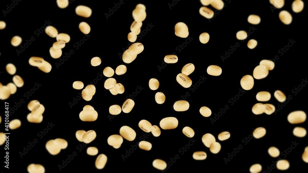 Flying many soybeans on black background. Light brown grains. Soya bean ...