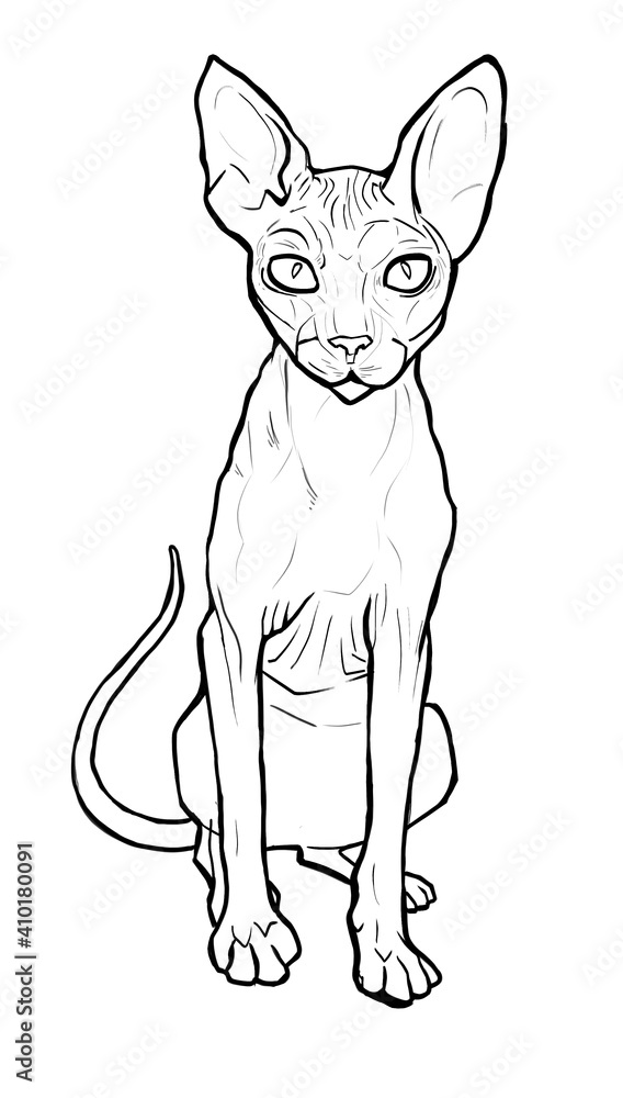 Vector illustration funny Sphynx cat linear drawing. sitting angry ...