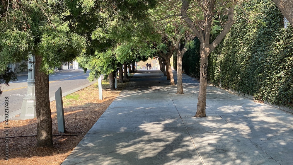 Foto de Tree-lined sidewalk forming natural archways in Downtown Los ...