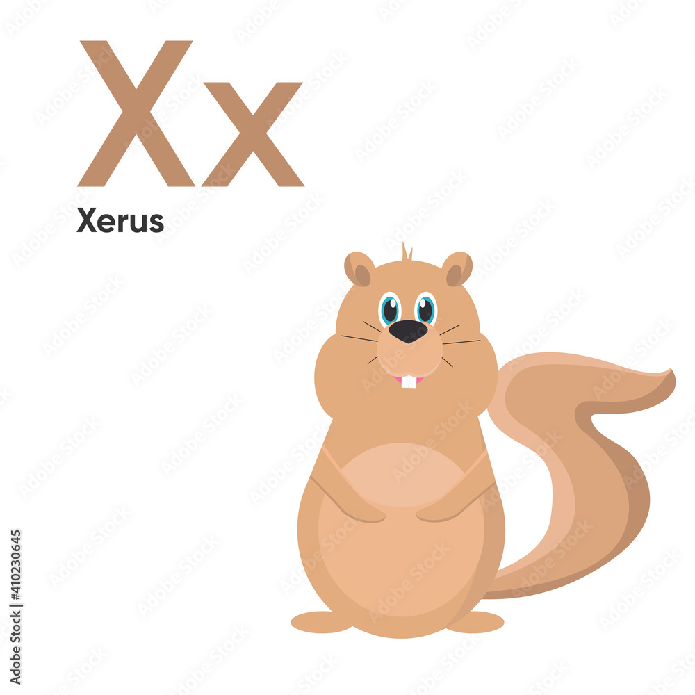 Cute Animal Alphabet Series A-Z. Vector ABC. Letter Xx. Xerus. Cartoon ...