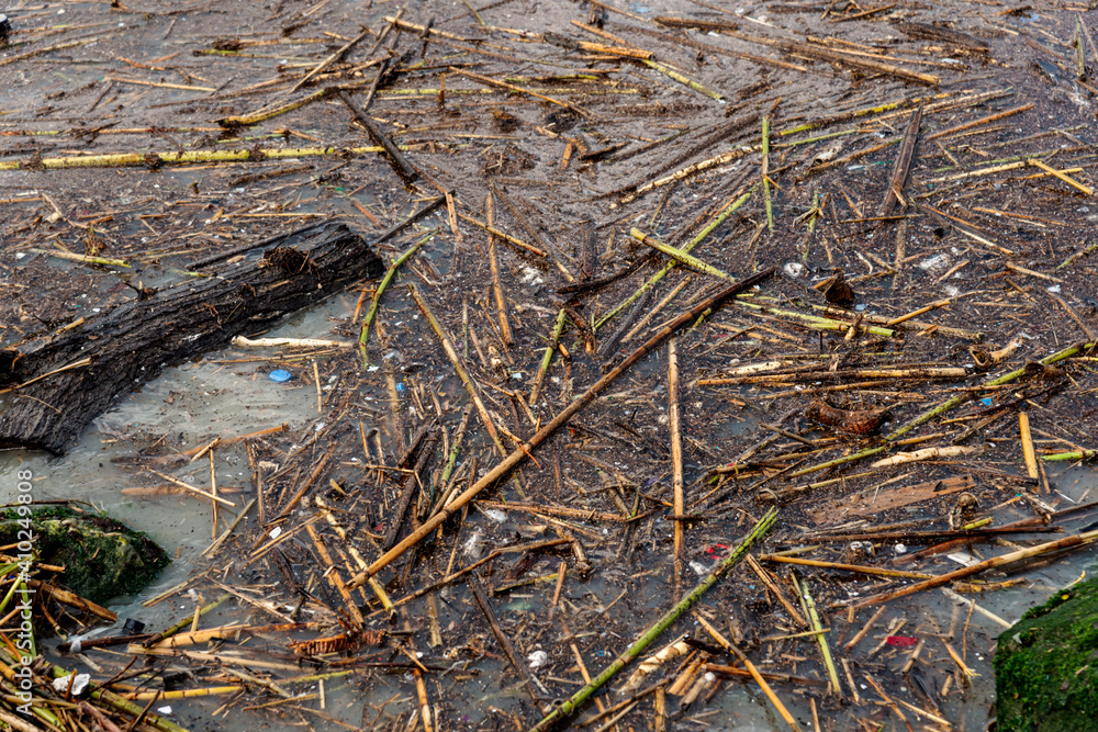 Toxic chemicals, fuel oil stains, and human garbage disposals floating ...