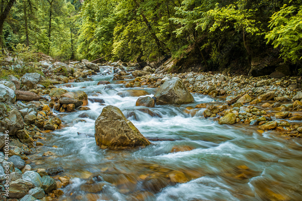 River in the forest. The beautiful river flowing between alpine meadows ...