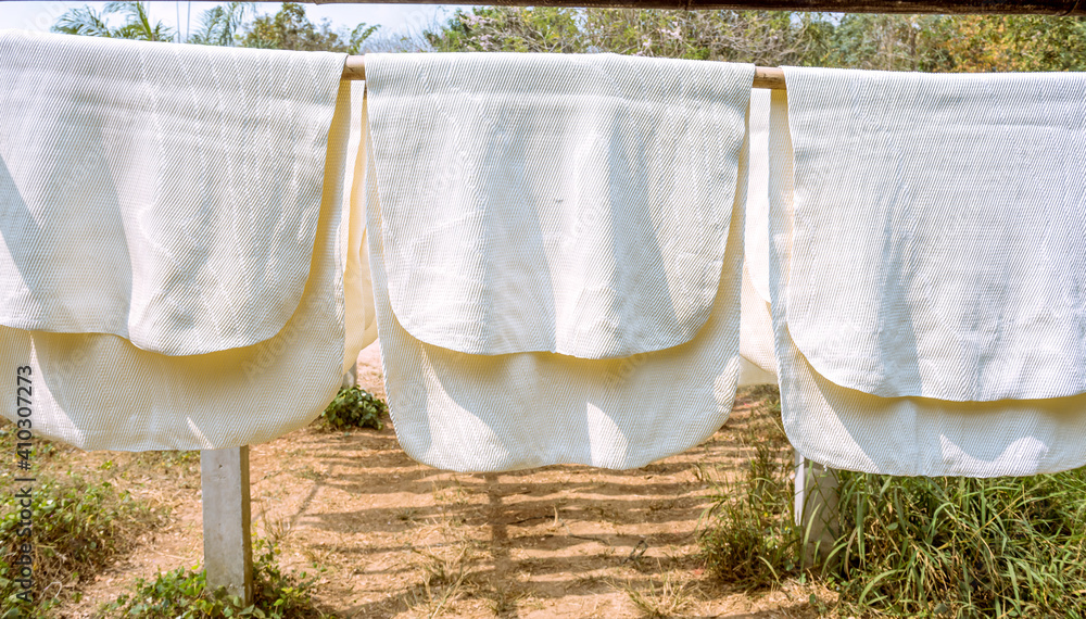 The farmer making rubber sheets hang on bamboo process dry by solar ...