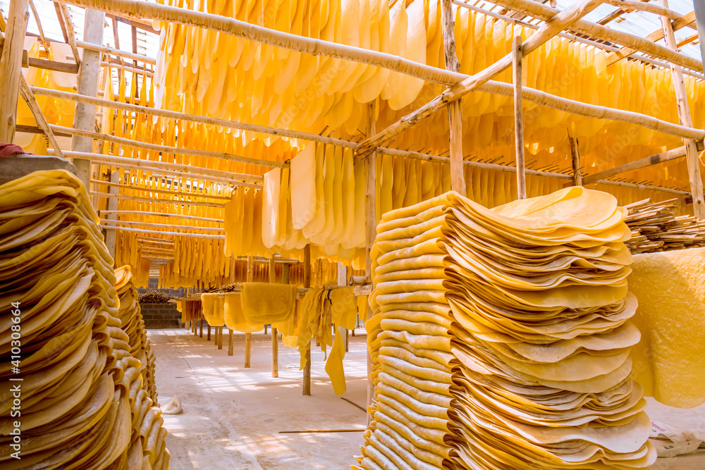 The farmer making rubber sheets hang on bamboo process dry by solar ...