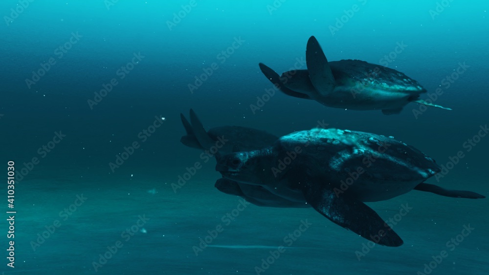 Closeup view of tortoises swimming in the deep blue ocean water, slow ...