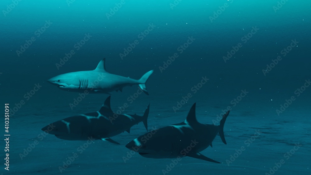 Closeup of Three Great white sharks swimming in the deep blue ocean ...