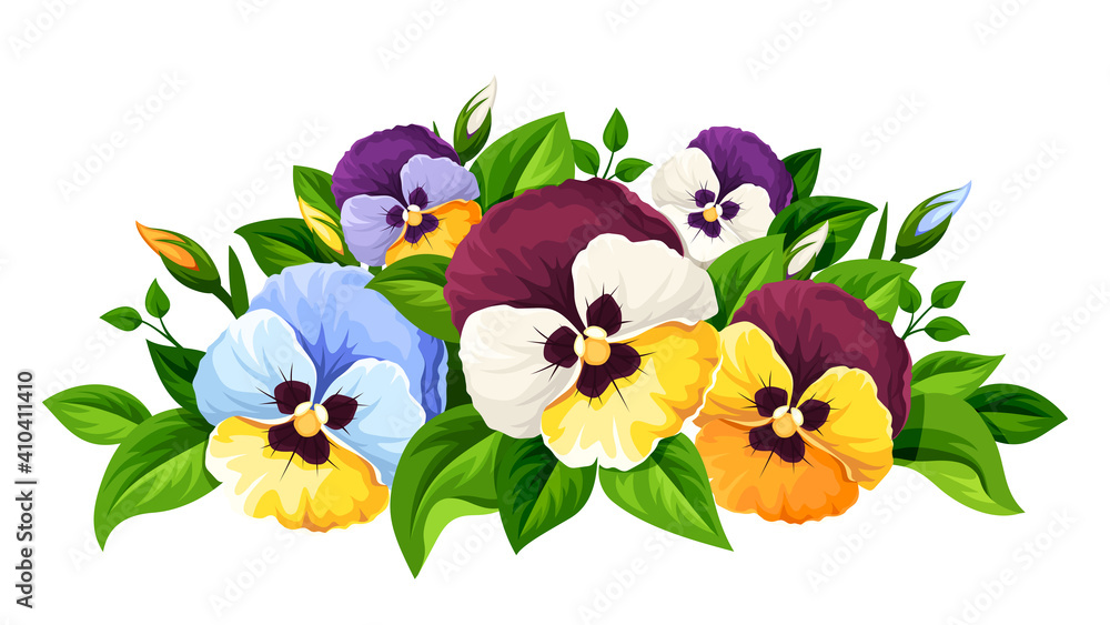 Pansy Flower Clip Art