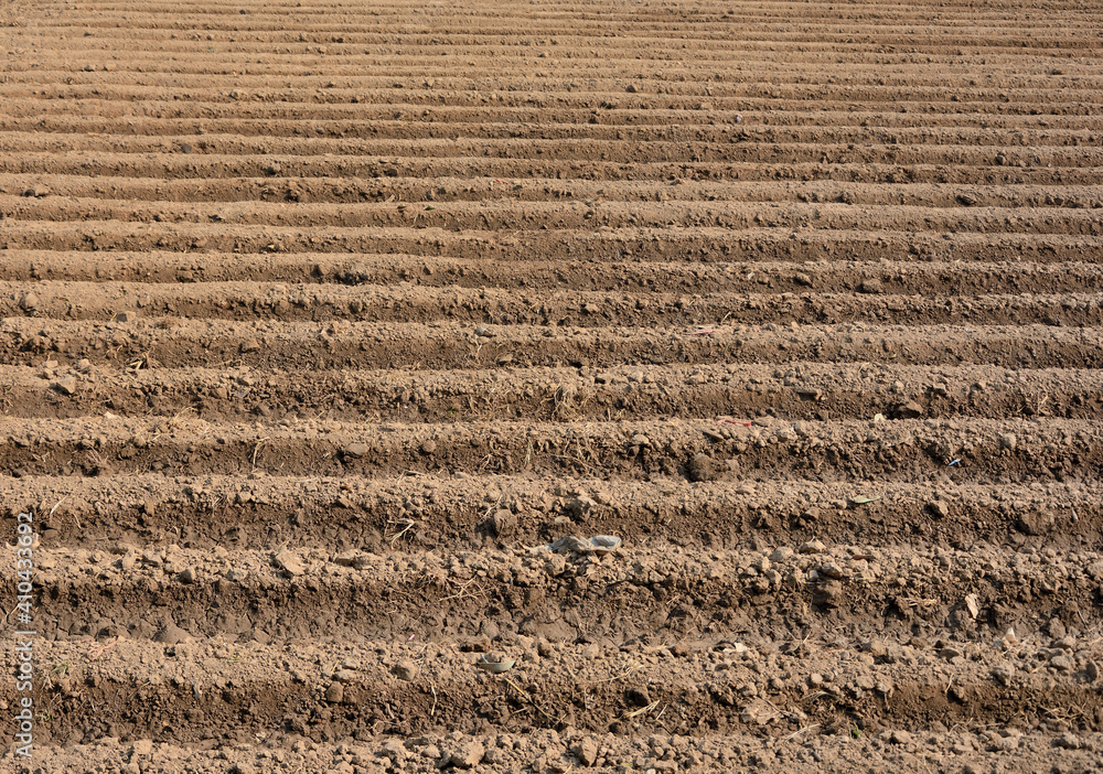 Lines of soil made by tractors,agriculture in Thailand Stock Photo ...