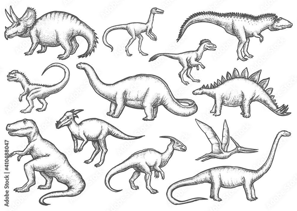 Set of isolated dinosaur sketches. T-rex or tyrannosaurus rex ...