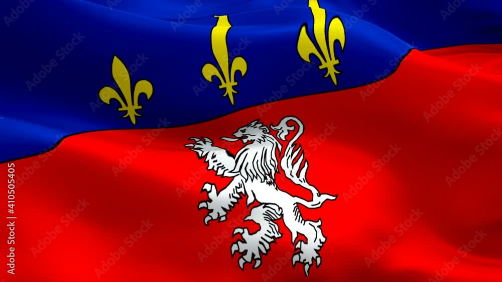 Lyon flag Motion Loop video waving in wind. Realistic Lyon Flag ...