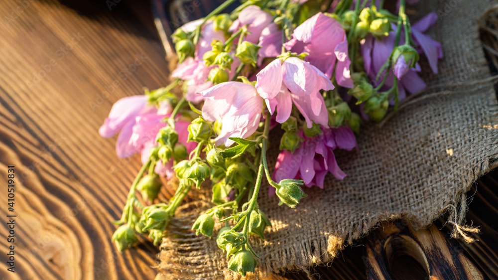Malva alcea , greater musk-mallow, cut-leaved mallow, vervain mallow or ...