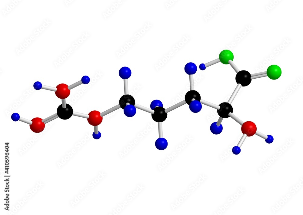 Arginine 3d Structure