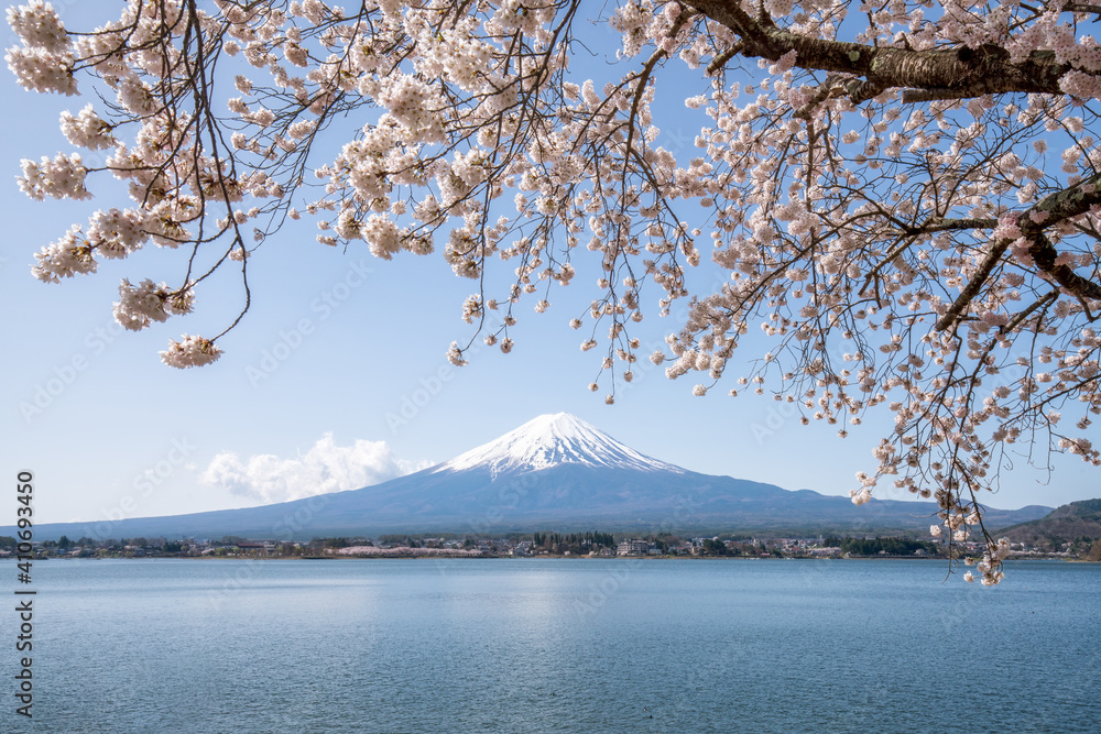 View of Mount Fuji with cherry blossom tree during spring season, Lake ...