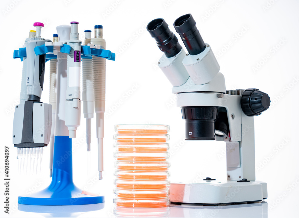 microscope, petri dishes and pipette stand by microbiological ...